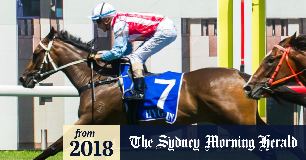 Keith Dryden rules out Eve's Miss appearing at Canberra Guineas